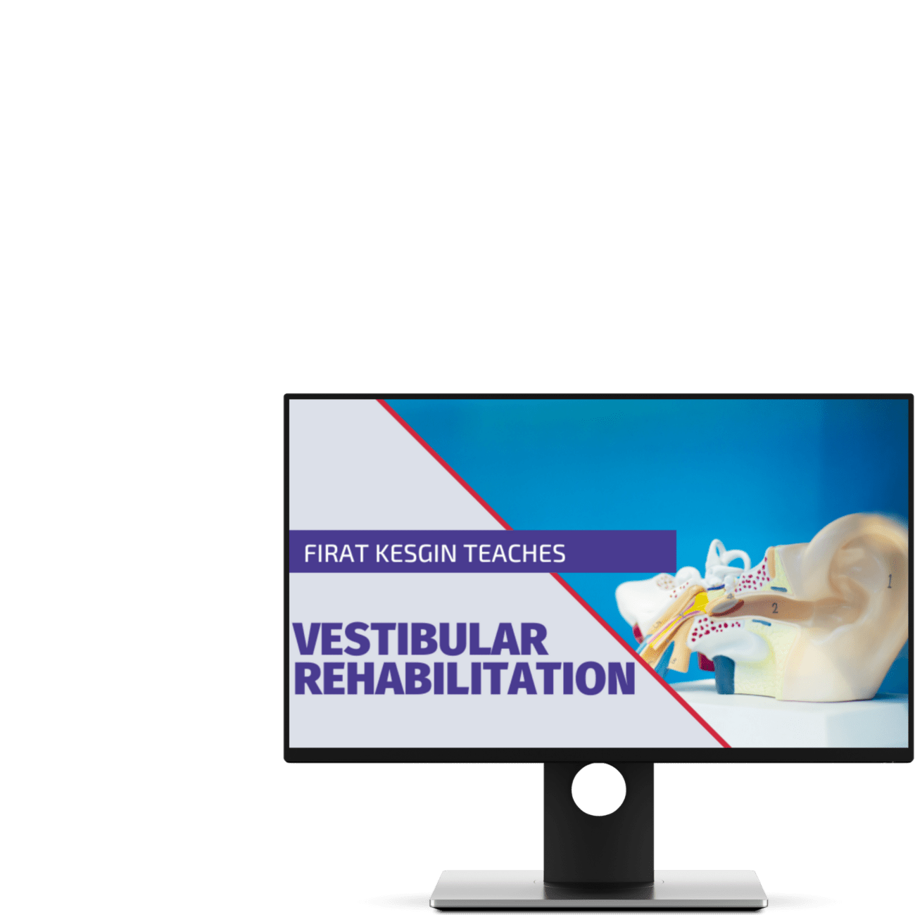 BPPV/Benigne Paroxysmale Positieve Vertigo/Diagnose & Behandeling