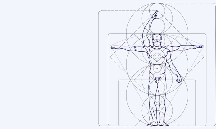 Anatomie Ebenen & Achsen erklärt | Grundlegende Anatomie Taxonomie