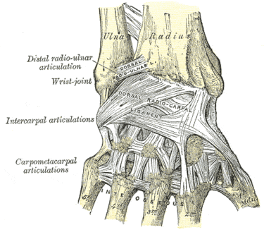 Physiotherapy of the Wrist & Hand | Assessment & Tests﻿