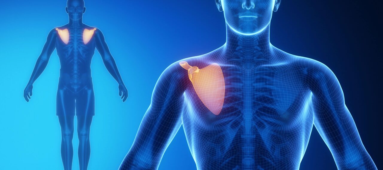 Scapular repositioning in neck pain