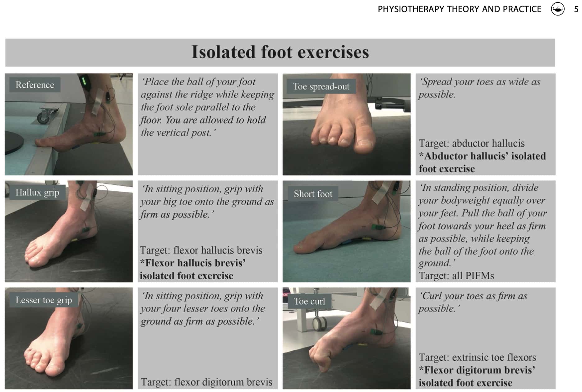 Exercises For Activation Of The Intrinsic Foot Muscles Physiotutors Exercises For Activation Of The Intrinsic Foot Muscles Physiotutors