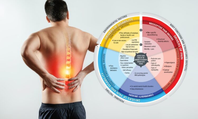 PDDM Low Back Pain Model | Yannick Tousignant-Laflamme
