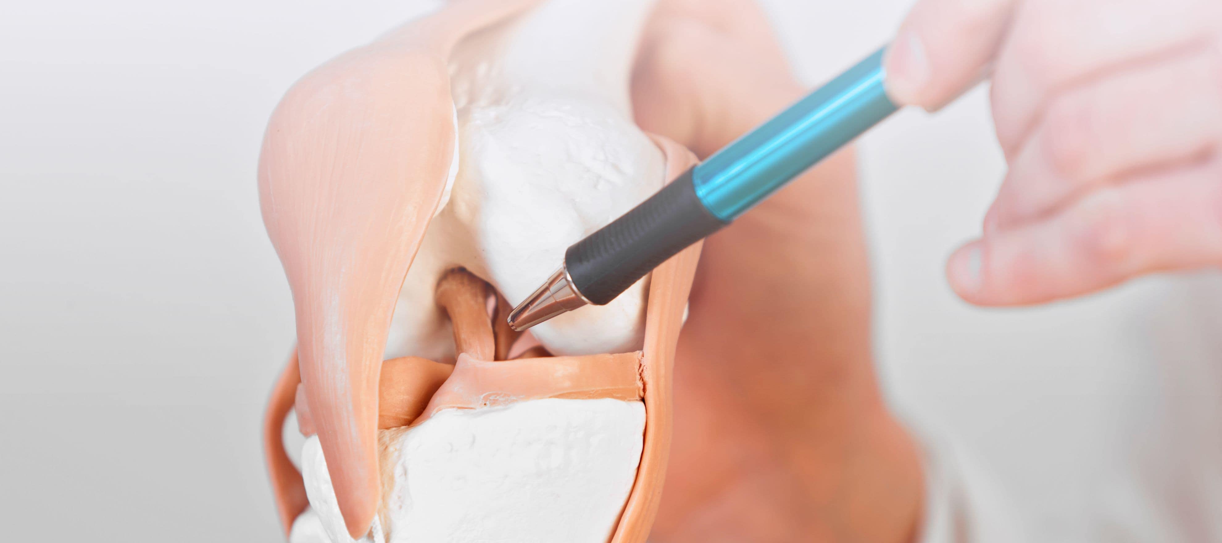 Top Tips for ACL Rehab | Masterclass by top expert Bart Dingenen