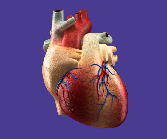 Acute Coronary Syndrome | Diagnosis & Treatment