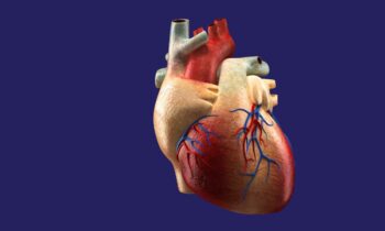 Acute Coronary Syndrome | Diagnosis & Treatment