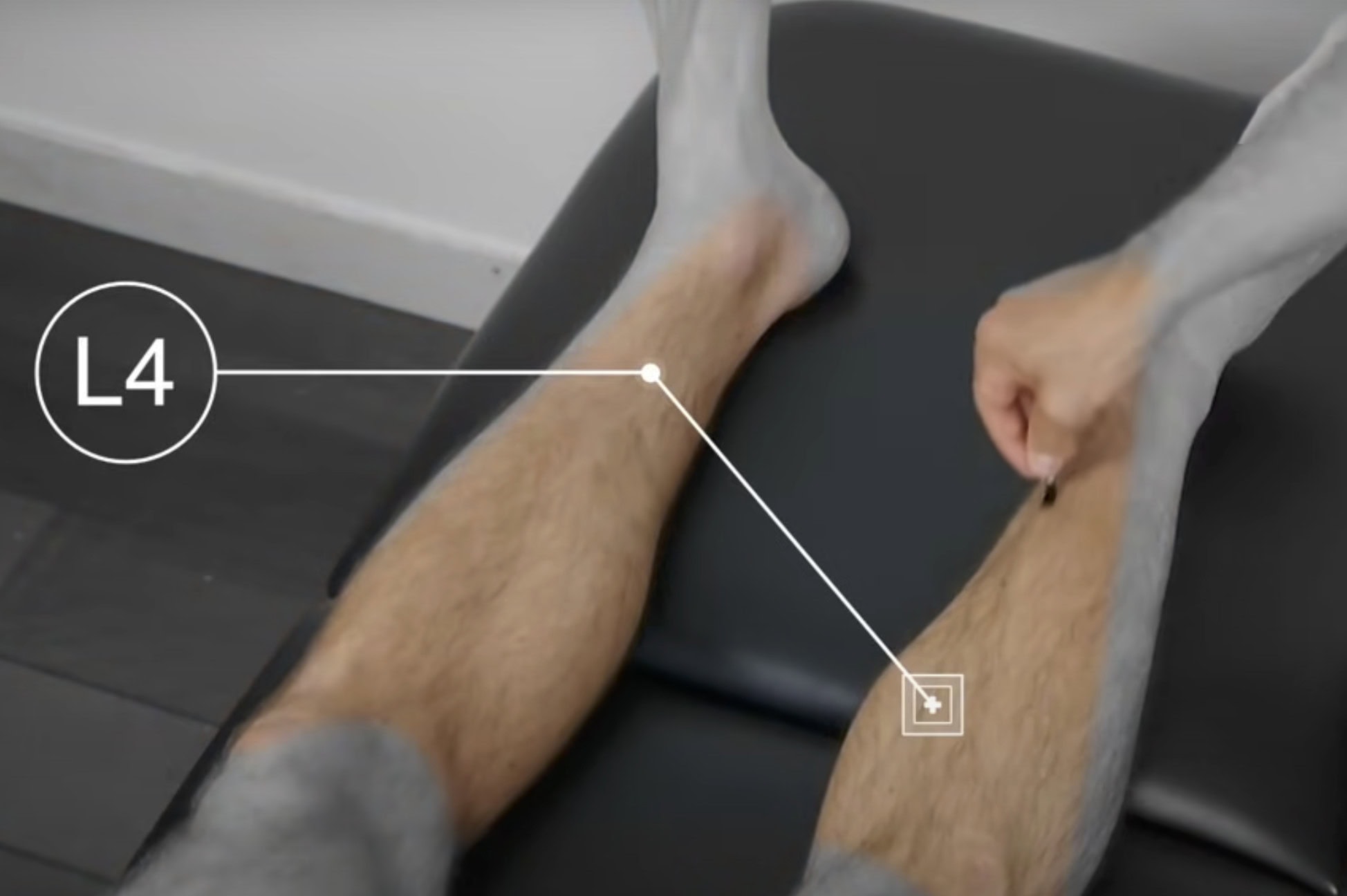 Dermatome testing L4 - Physiotutors