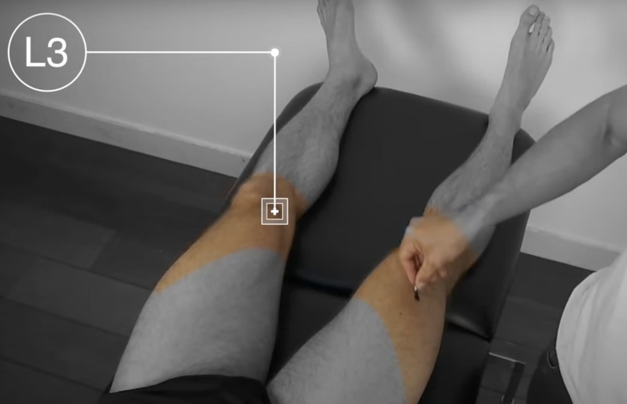 Dermatome testing L3 - Physiotutors