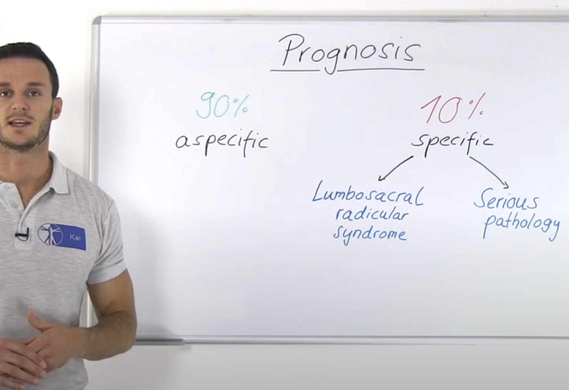 Low Back Pain Guideline - Physiotutors
