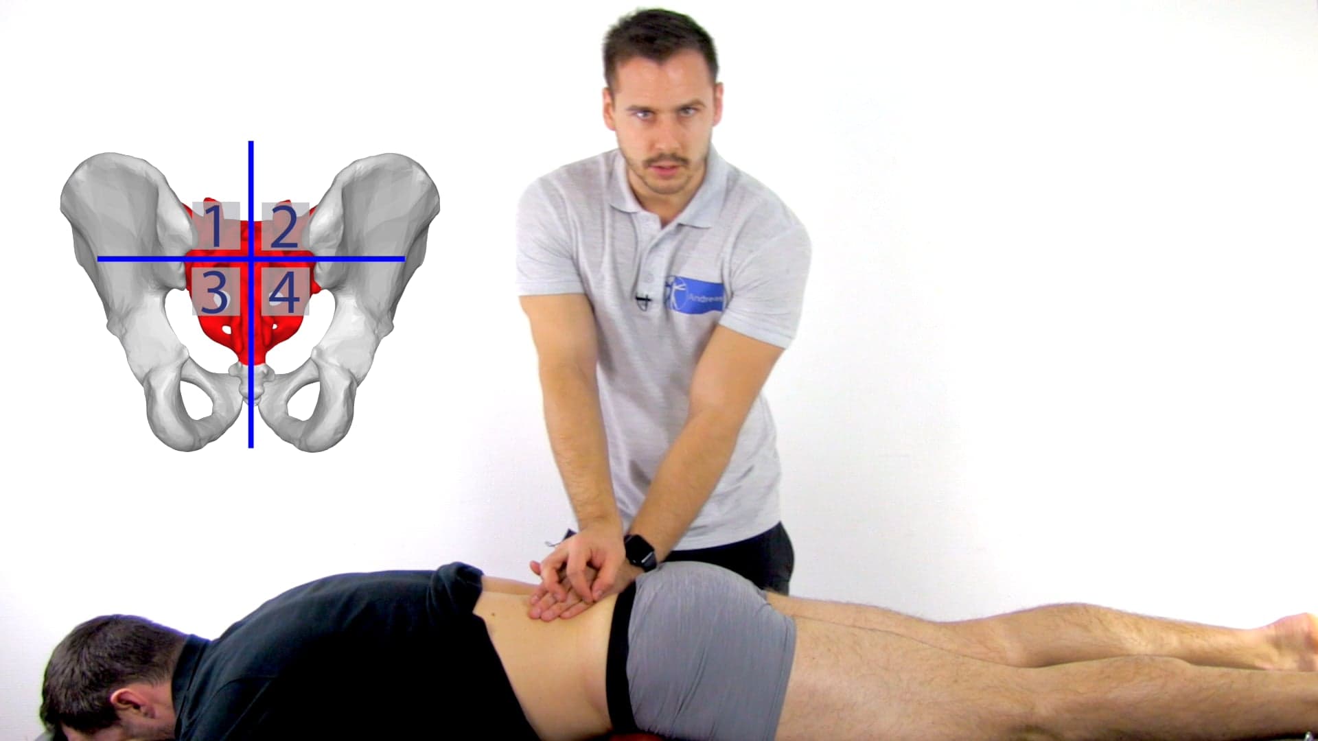 Nutation Manipulation with Pad - Physiotutors
