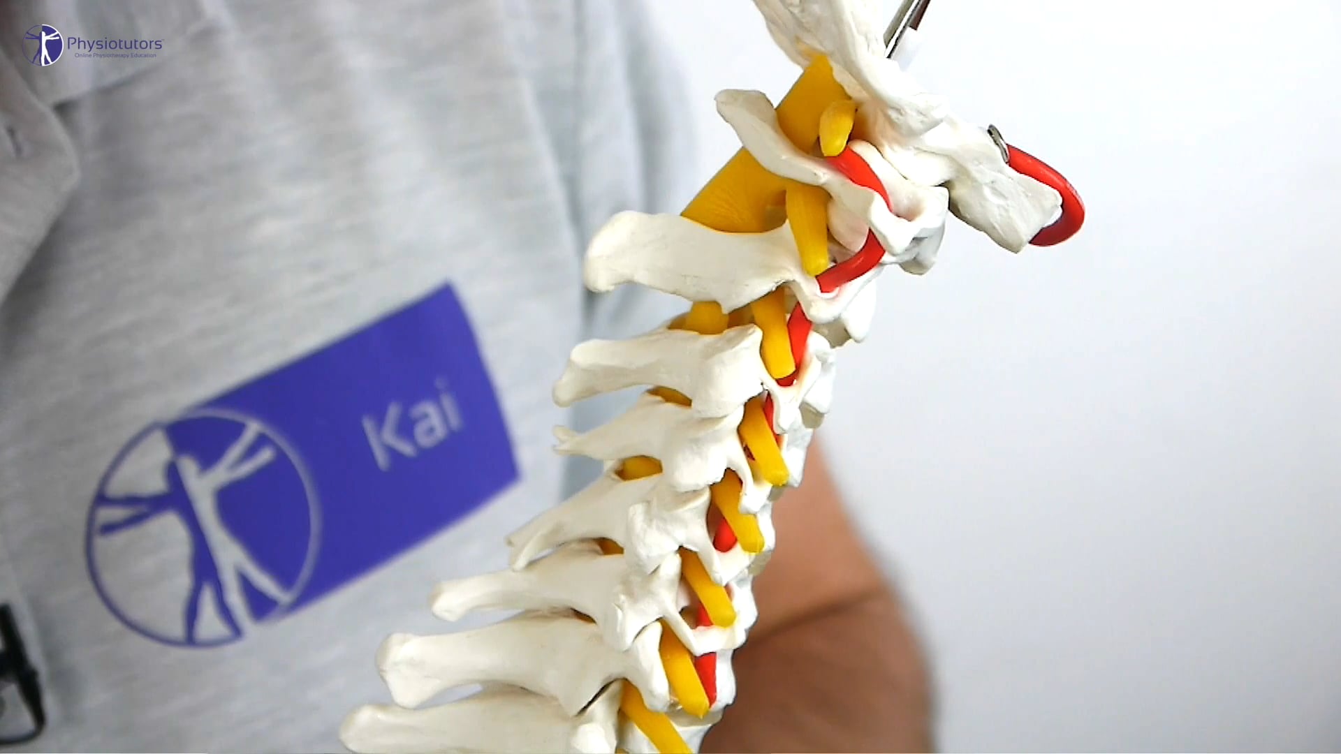 Vertebrobasilar Insufficiency (VBI) - Physiotutors