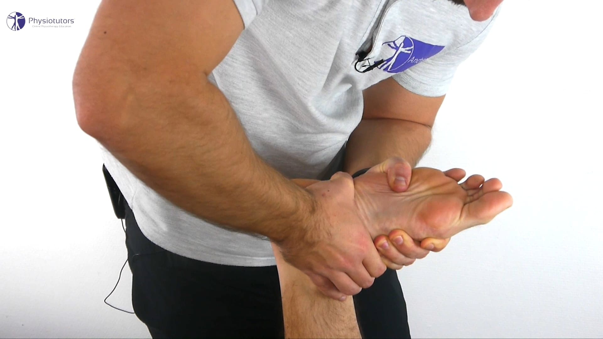 Line of Lisfranc - Physiotutors