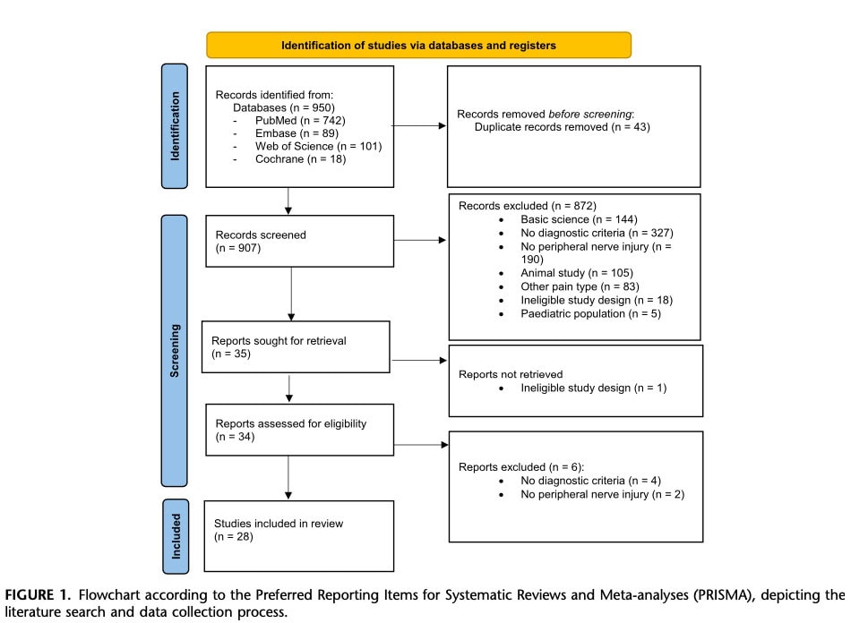 Centralized pain following nerve injury, new diagnostic criteria ...